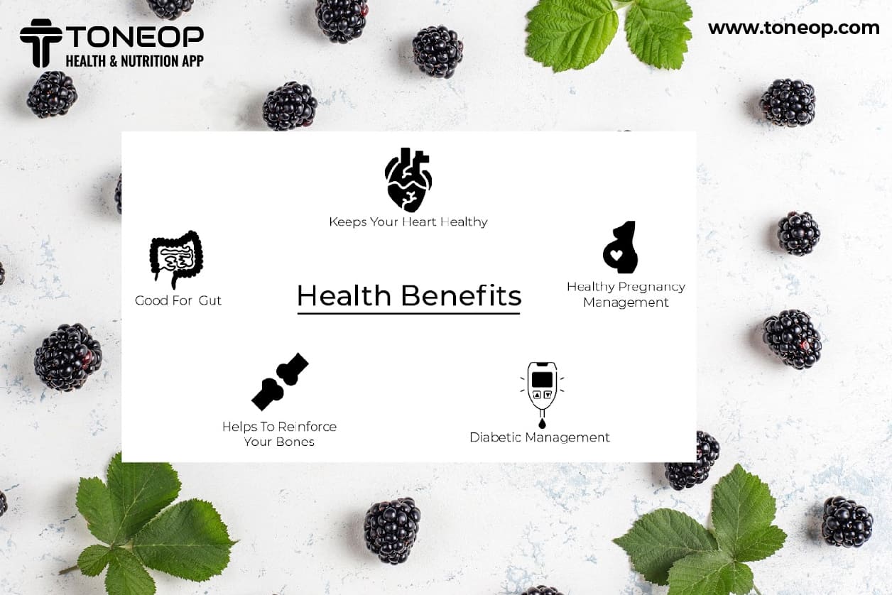 BlackBerry Fruit: Nutritional Value And Benefits